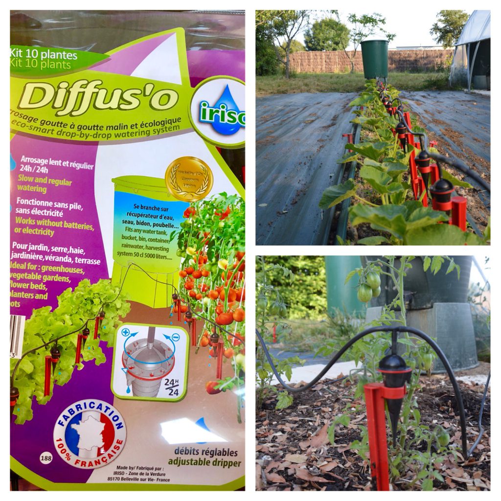 Eco-Smart Watering System Kit | Sought After Seedlings