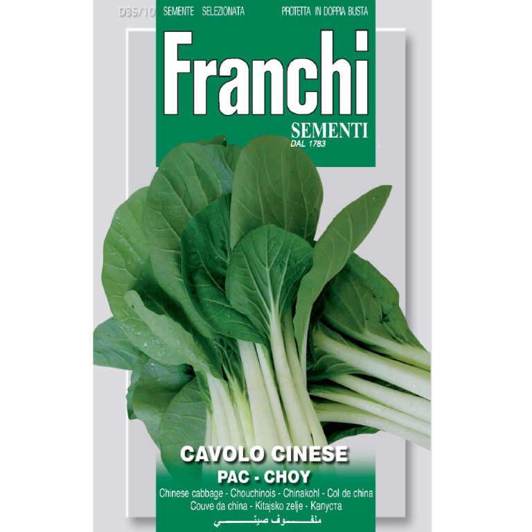 Pac Choy | Sought After Seedlings