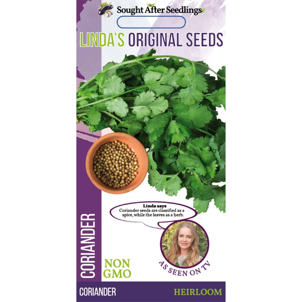 Coriander Seeds | Sought After Seedlings